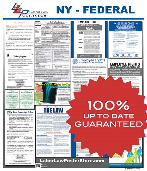 Green (Non-Laminated) State and Federal Labor Law Poster – Compliance ...